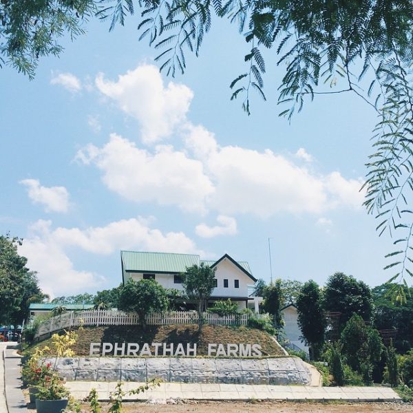 Ephrathah Farms, Iloilo Hotel Resort and Wedding Destination